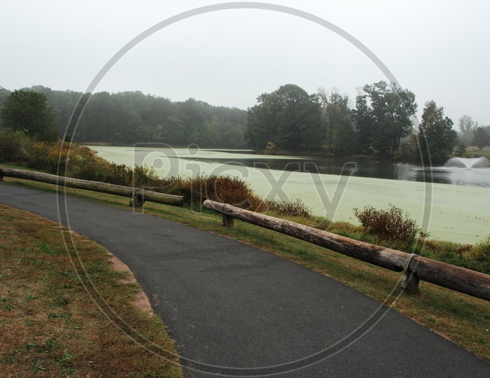 Image of Road Along a Water Pond-CY975824-Picxy