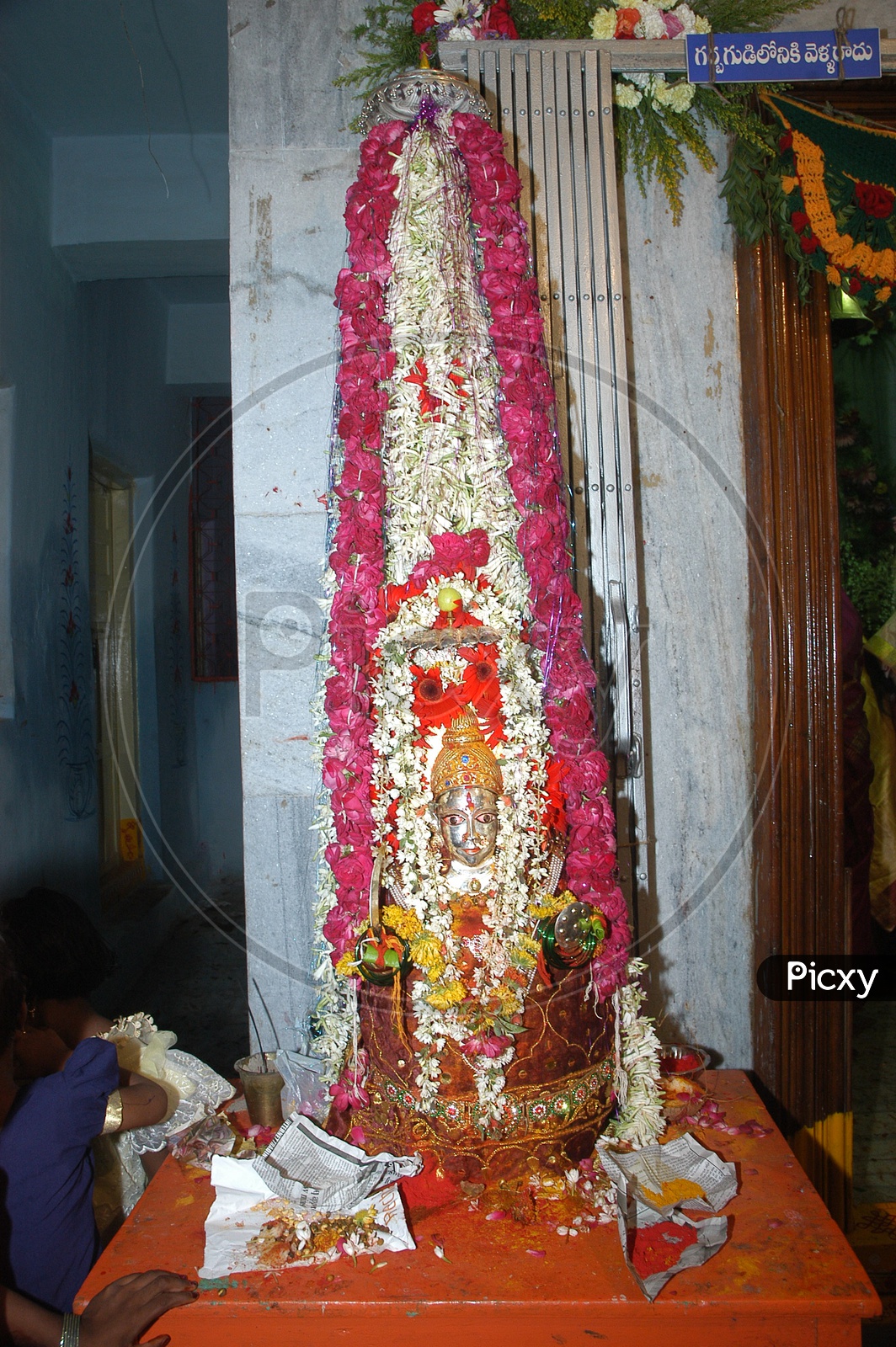Image of Goddess Erra Pochamma In Jagadambha Temple-PH095813-Picxy
