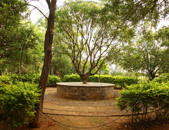 Image of Pavestone around the tree-WL836550-Picxy