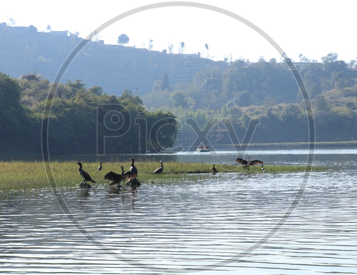 Image of Tikkar taal lake-JE677330-Picxy
