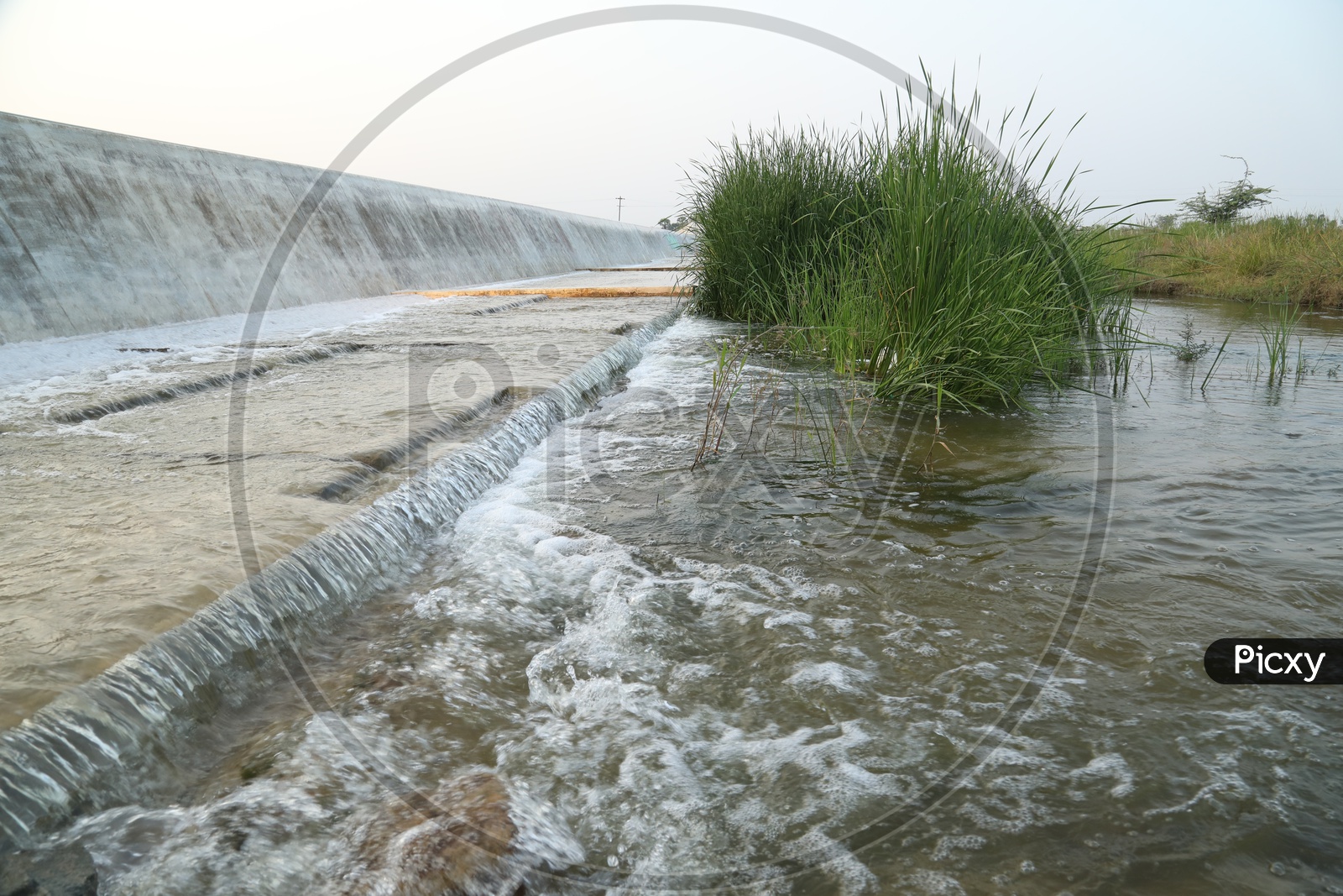 Image of Freshwater marsh from the dam-YU676500-Picxy