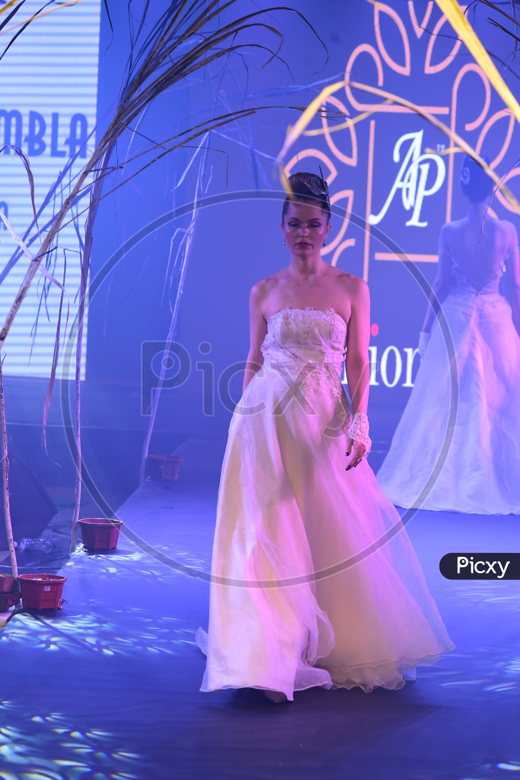 Image of Female Model Ramp Walk At AP Fashion Week 2018-VD194834-Picxy