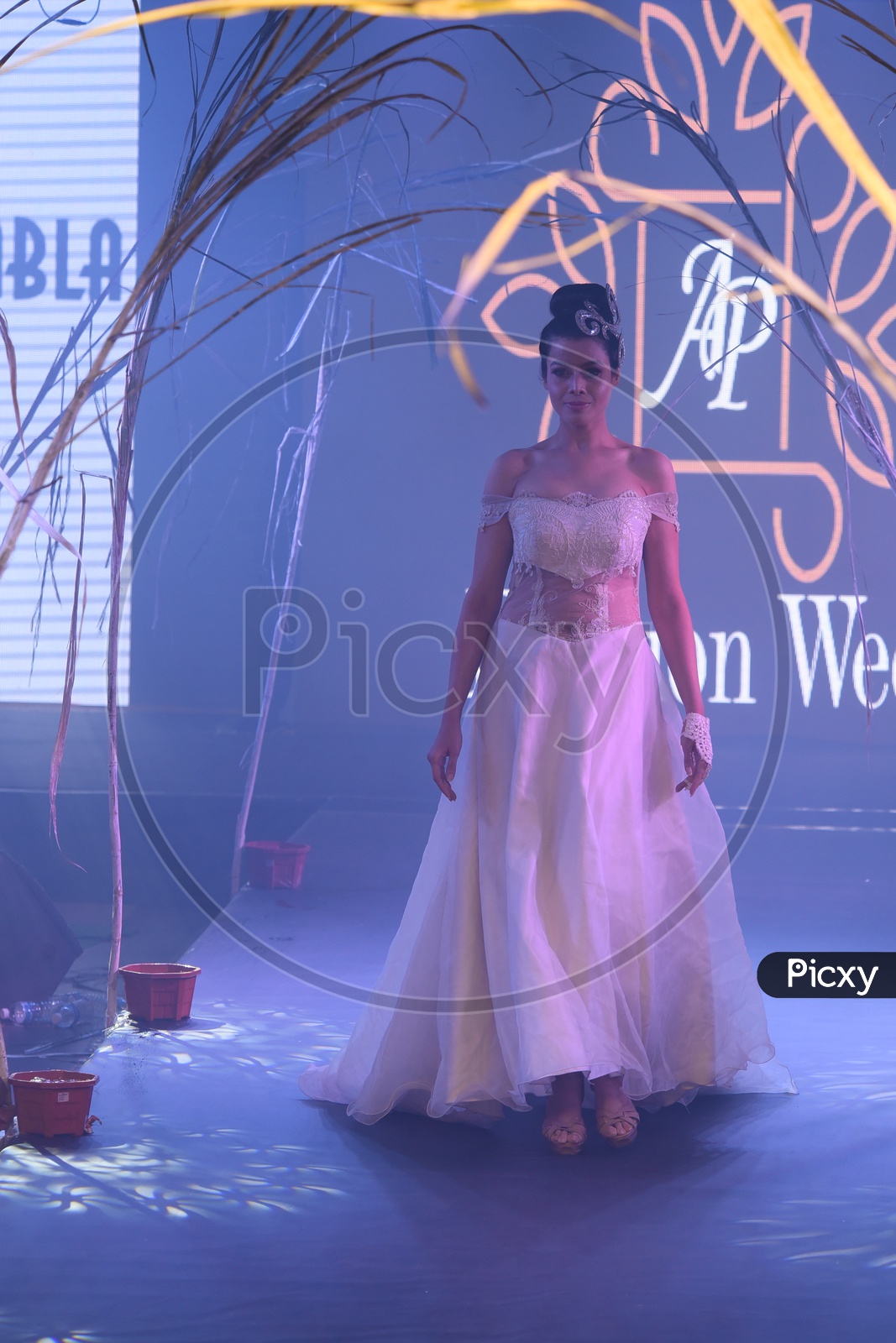 Image of Female Model Ramp Walk At AP Fashion Week 2018-XS730456-Picxy