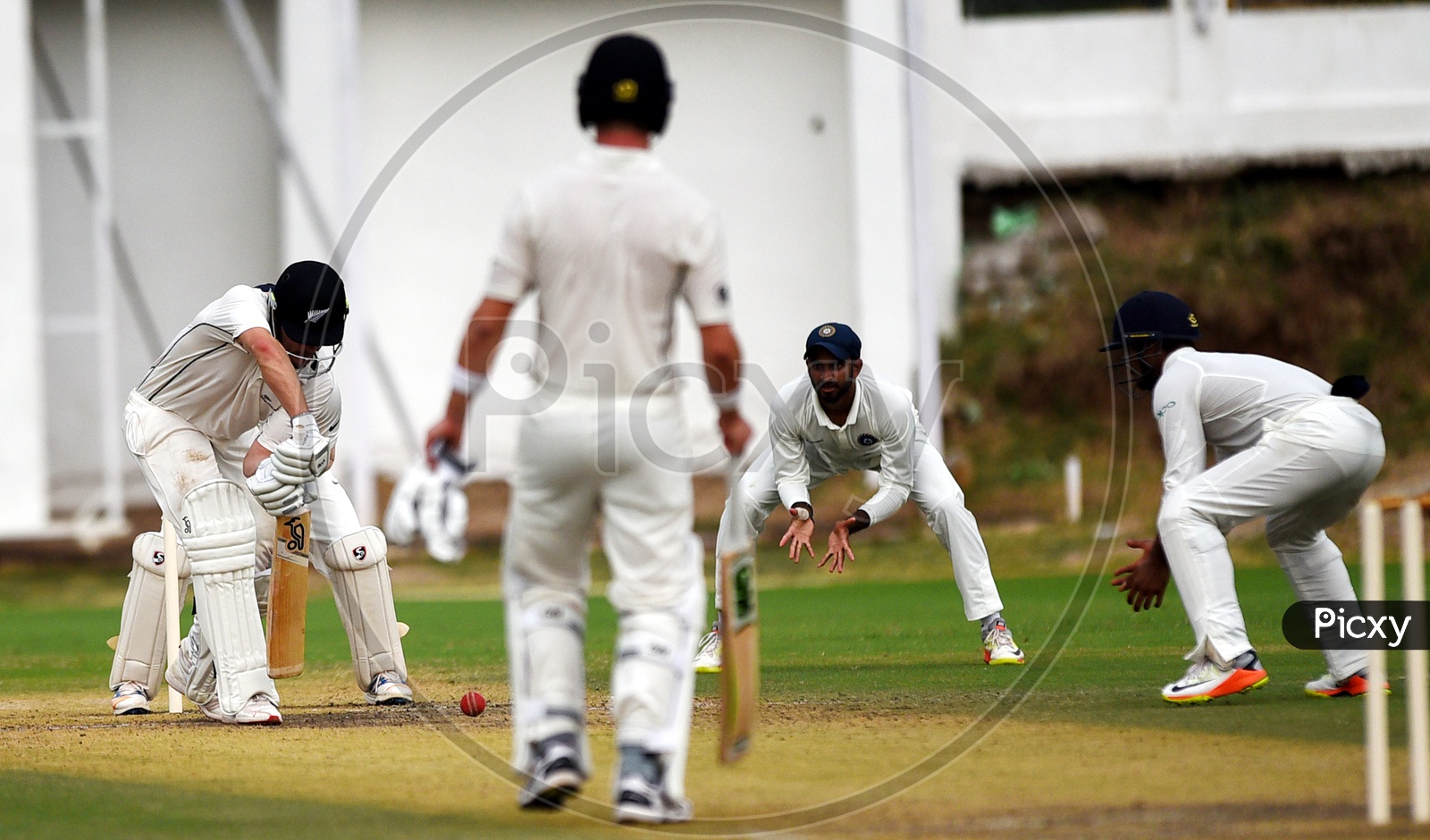 Image of New Zealand Cricket Player defending a ball-MB780319-Picxy