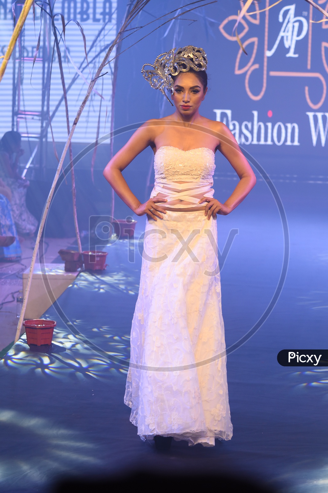 Image of Female Model Ramp Walk At AP Fashion Week 2018-JE313755-Picxy