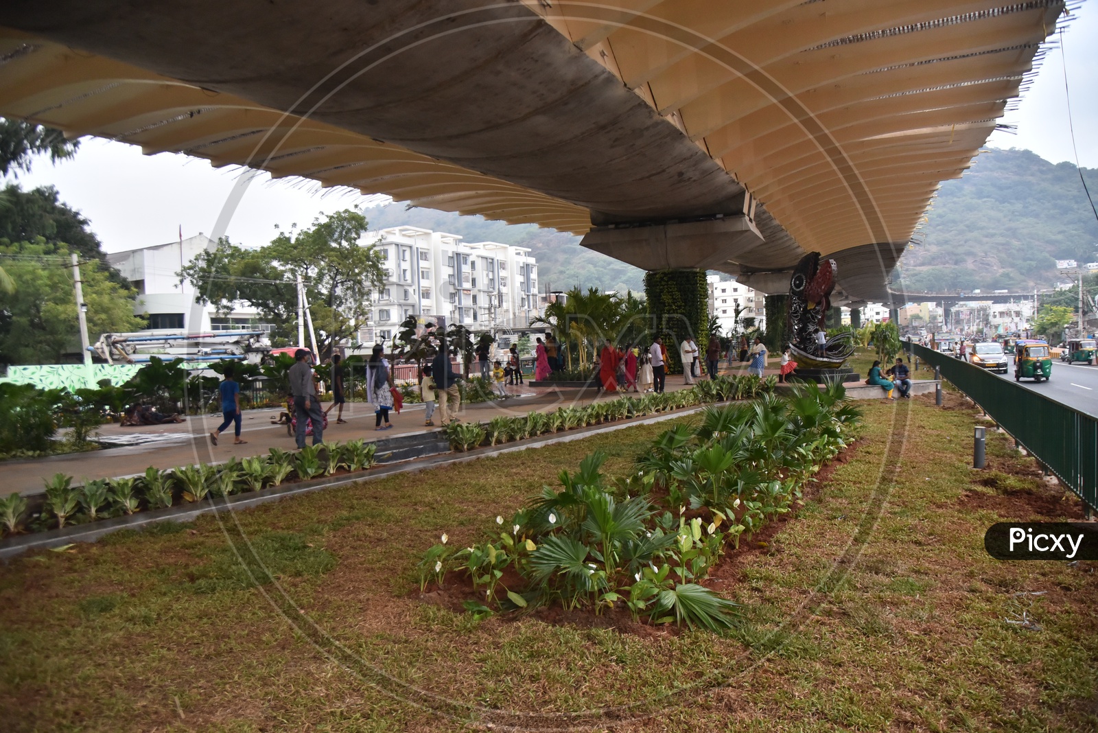 Image of Flower Plants Planted Under Flyover-AX371614-Picxy
