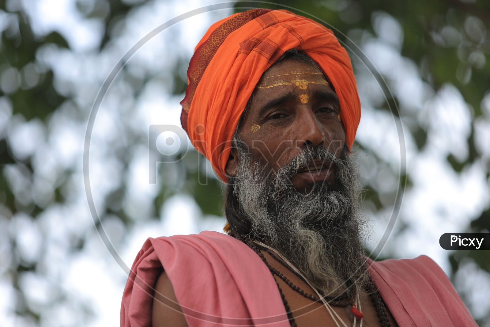 Image of Hindu Baba Or Sadhu in Kumbh Mela-FT887235-Picxy