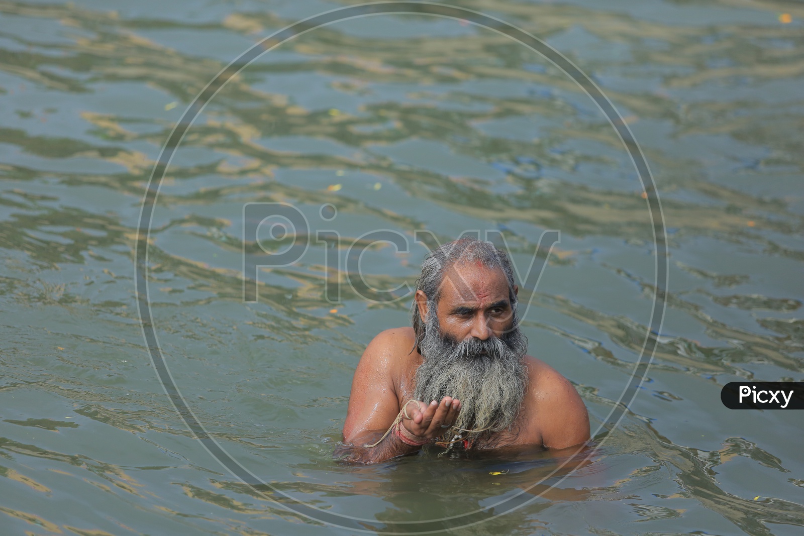 Image of Hindu Sadhu or Baba Taking Holy Bath In River Ganges During ...