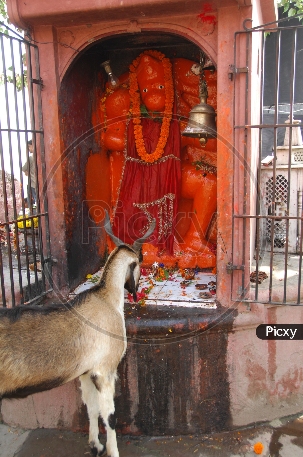 Image of A Goat alongside the Hindu God Sculpture-GZ864642-Picxy