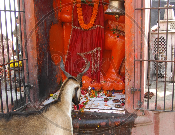 Image of A Goat alongside the Hindu God Sculpture-GZ864642-Picxy