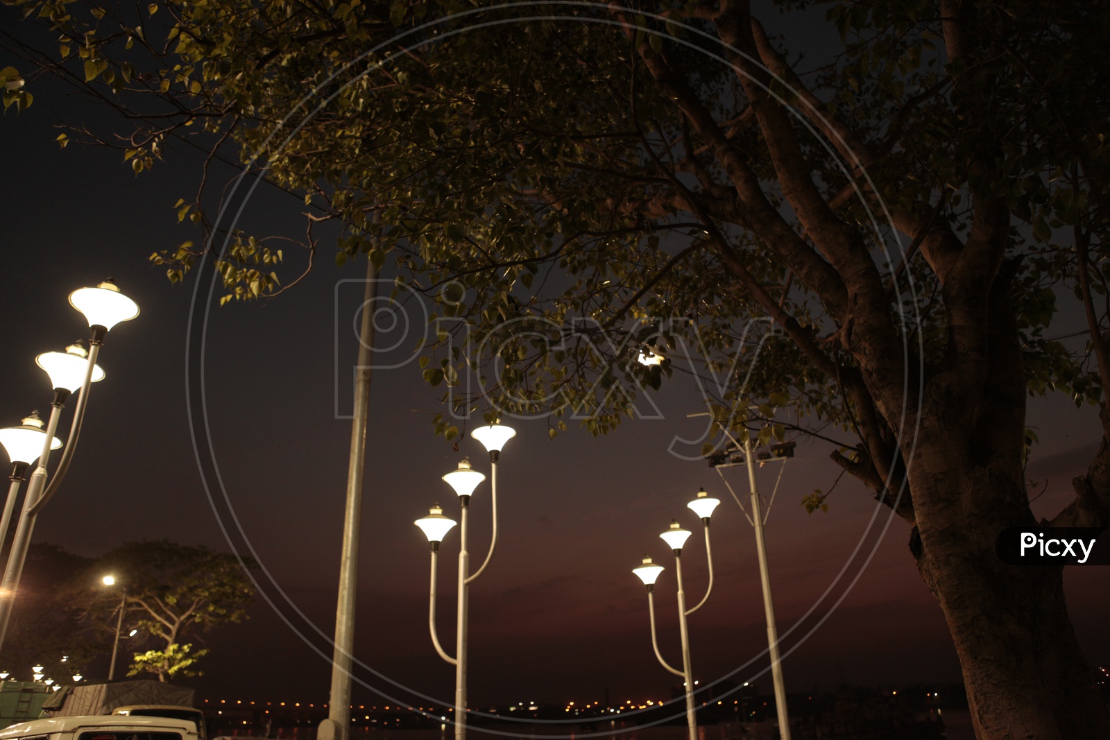 Image of Street lights during the night-TO878408-Picxy