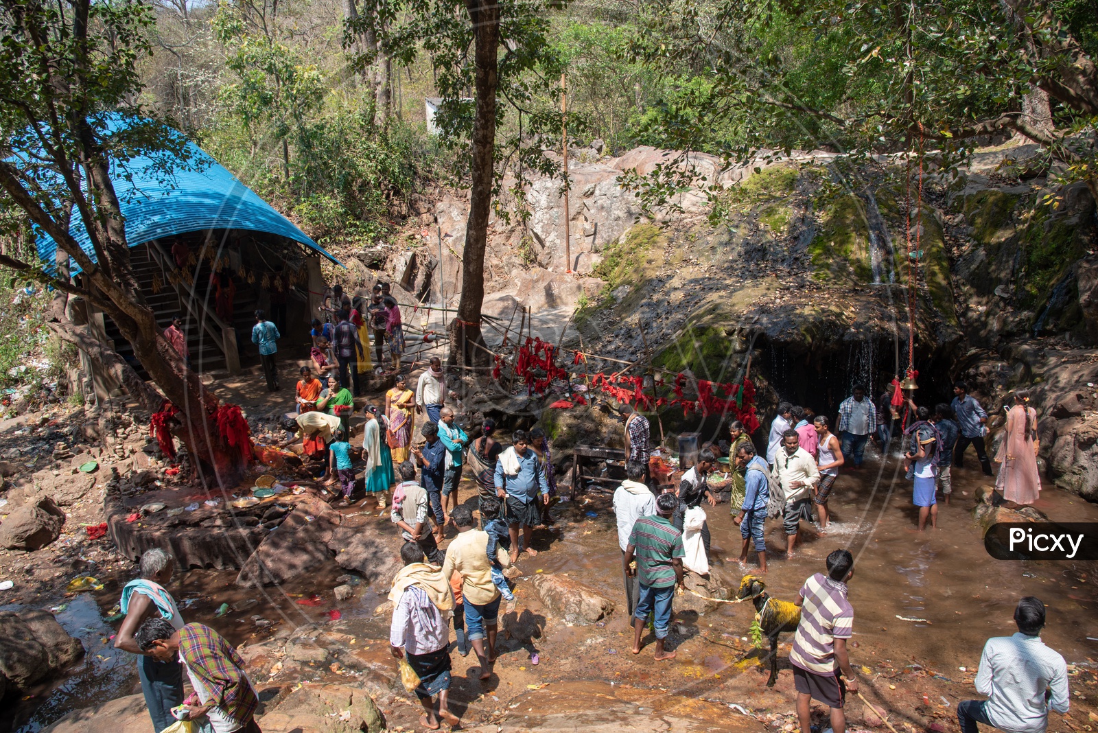 Image of Devotees at Gubbala Mangamma Thalli Temple-BS002073-Picxy