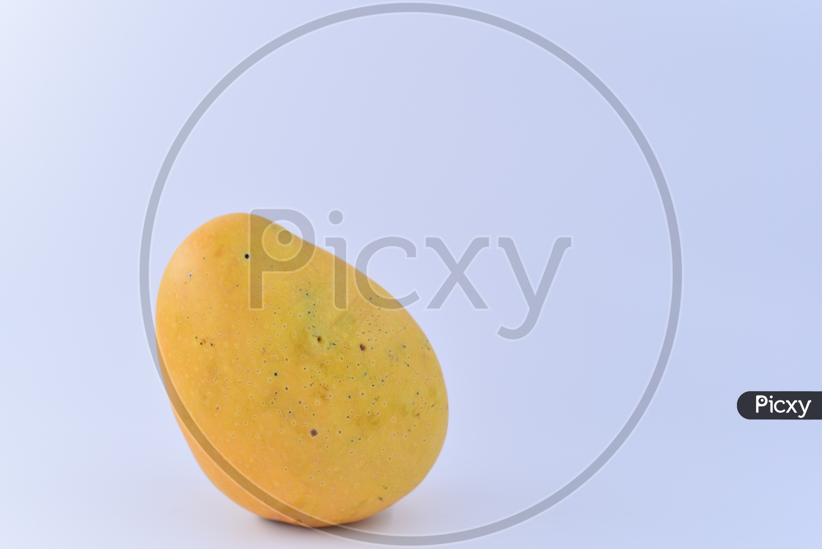 Image of Fresh Banginapalli Mangoes On an Isolated White Background ...