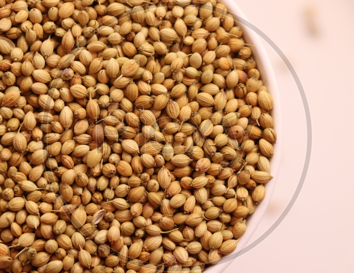 Image of Seema Chintakaya-PG563565-Picxy