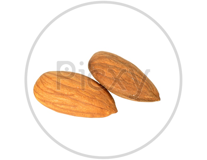 Image of A Single Almond Or Badam On an Isolated White Background ...