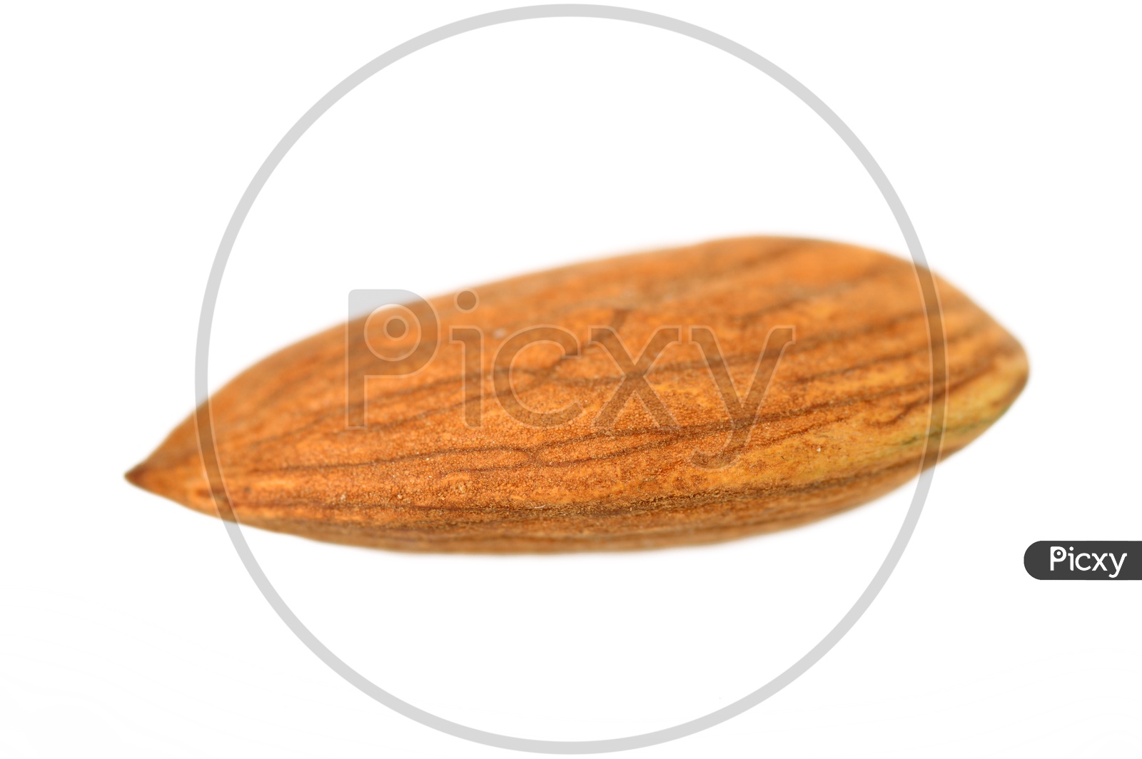 Image of A Single Almond Or Badam On an Isolated White Background ...