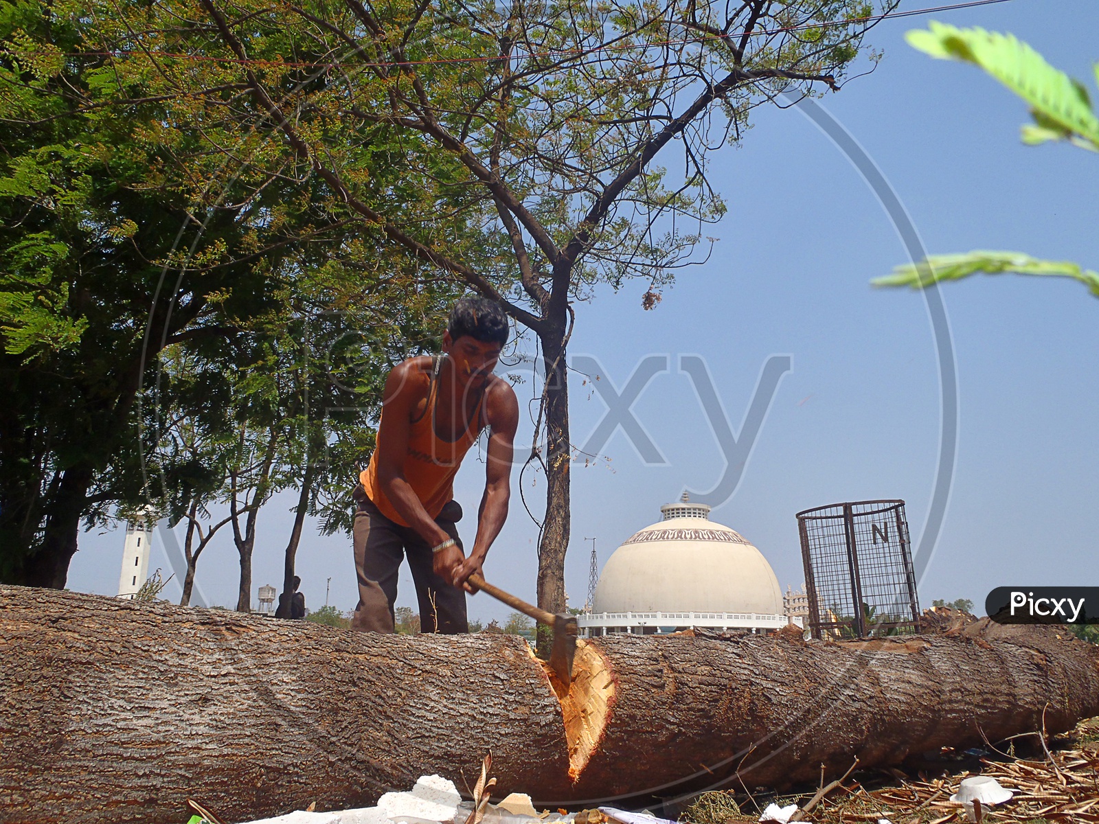 Image of A Man With an Axe Cutting The Tree Wood at Deekshabhoomi , A ...