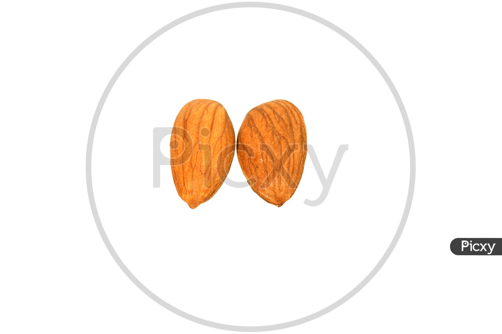 Image of A Couple Of Almond Or Badam Nuts on An Isolated White ...