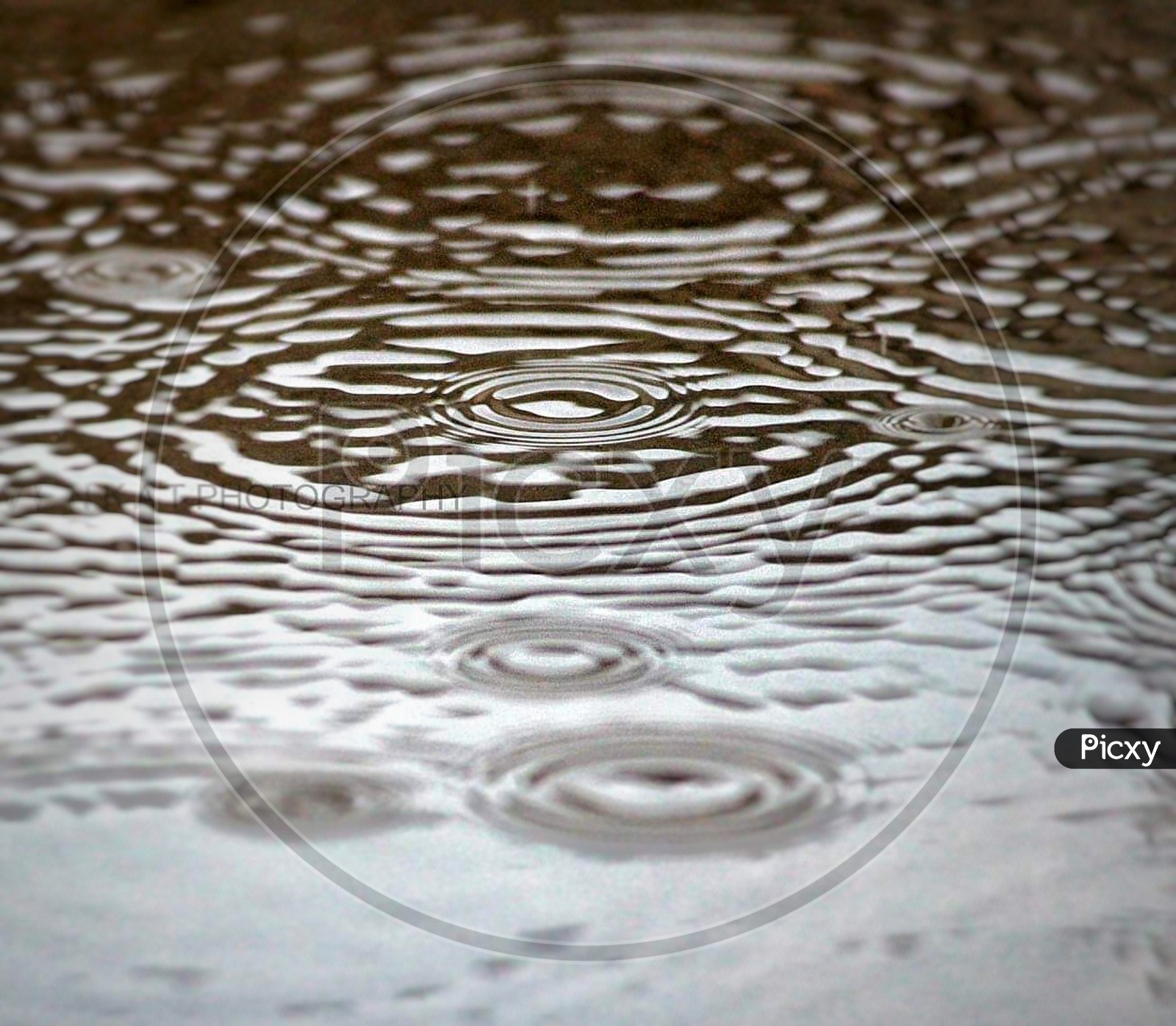 Image of Ripples in Rain Water-ER875851-Picxy