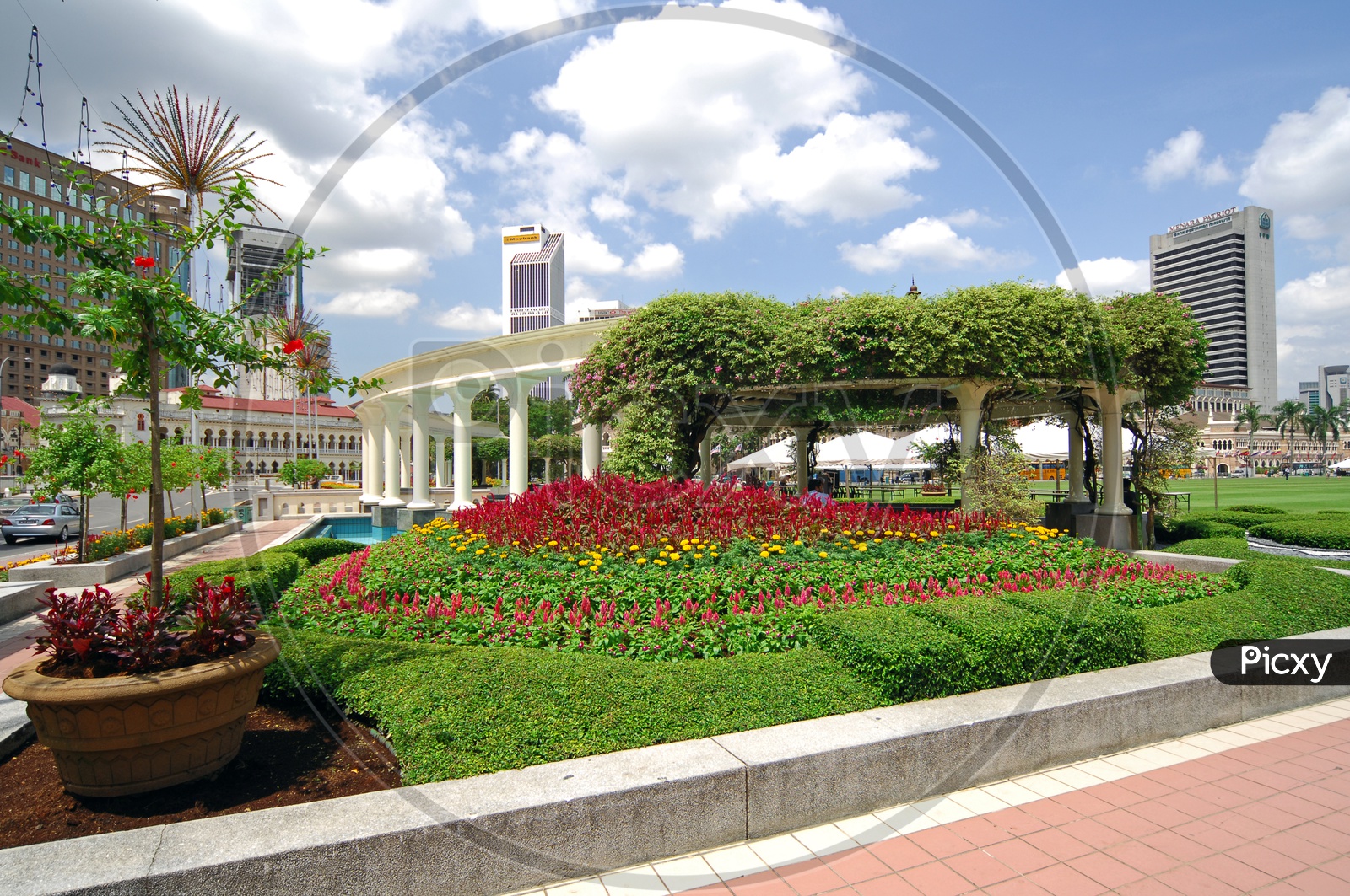 Image of Garden Flower Plants At Dataran Merdeka Square Park-DL089369-Picxy