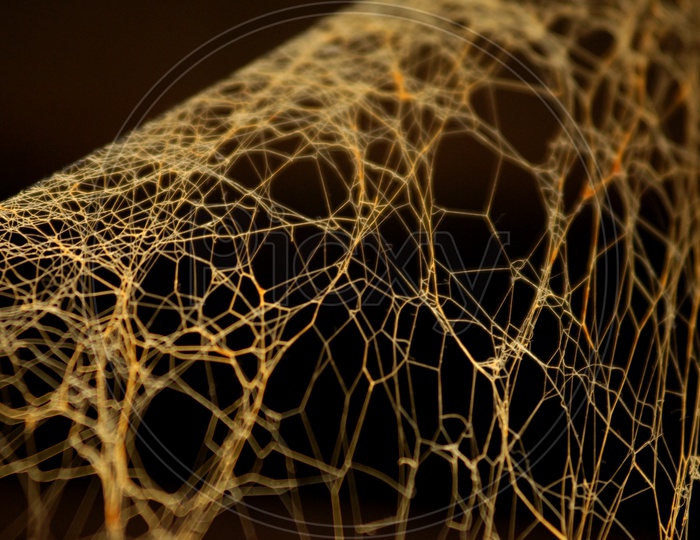 Image of Fibrous material-CN085916-Picxy