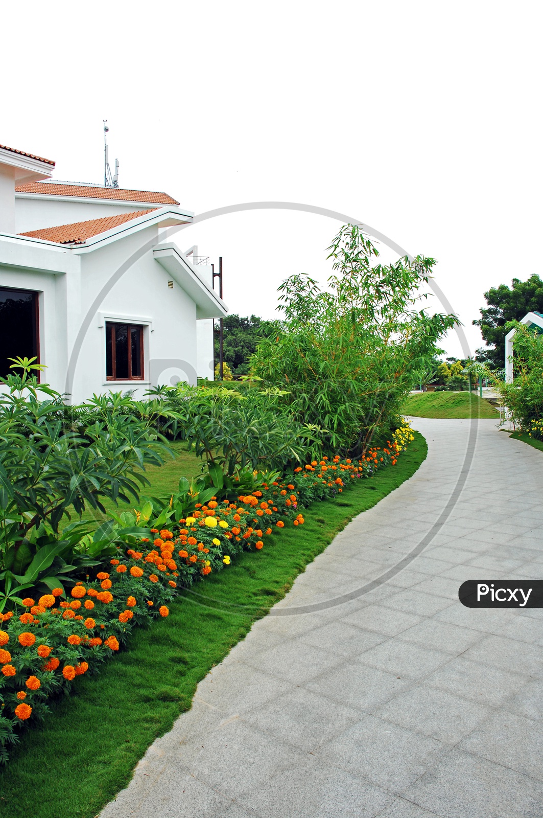 Image of Pathways In An House Premise-LI607940-Picxy