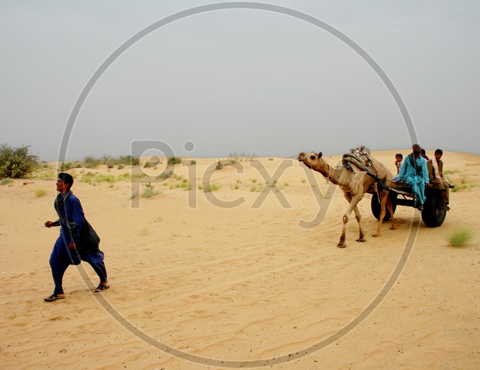 Image of People traveling in a camel cart in a desert-NH064375-Picxy