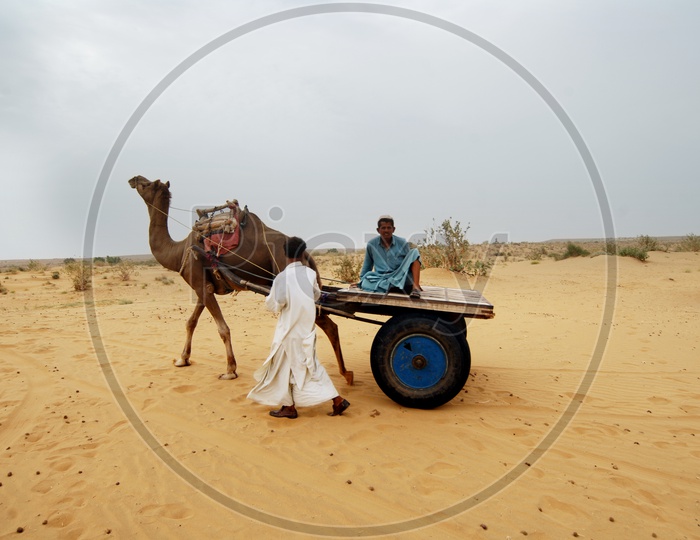 Image of Camel Cart in Desert-FC166958-Picxy