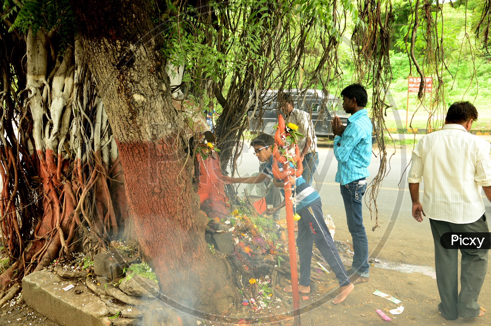 Image of People offering prayers at Sacred tree of Hindus-XA469997-Picxy
