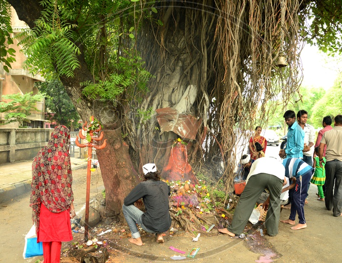 Image of People offering prayers at Sacred tree of Hindus-HG718278-Picxy