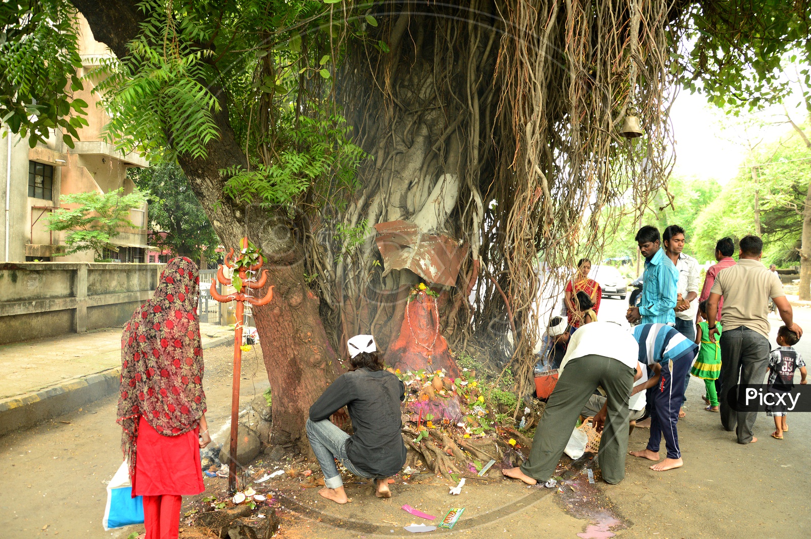 Image of People offering prayers at Sacred tree of Hindus-HG718278-Picxy