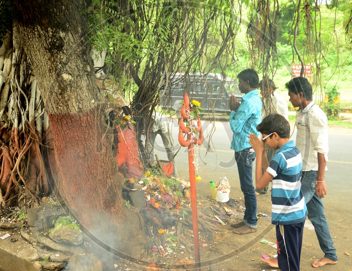 Image of People offering prayers at Sacred tree of Hindus-XA469997-Picxy
