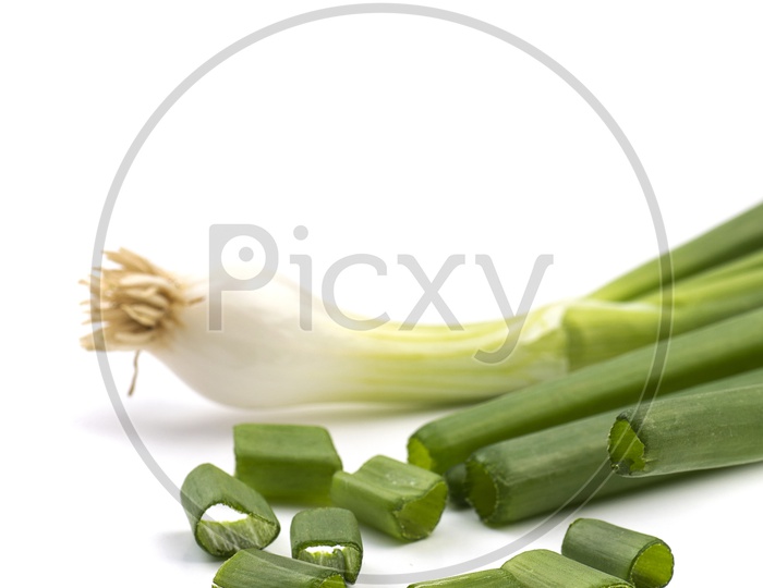 Image of Freshly Chopped Spring Onion Pieces On an Isolated White ...