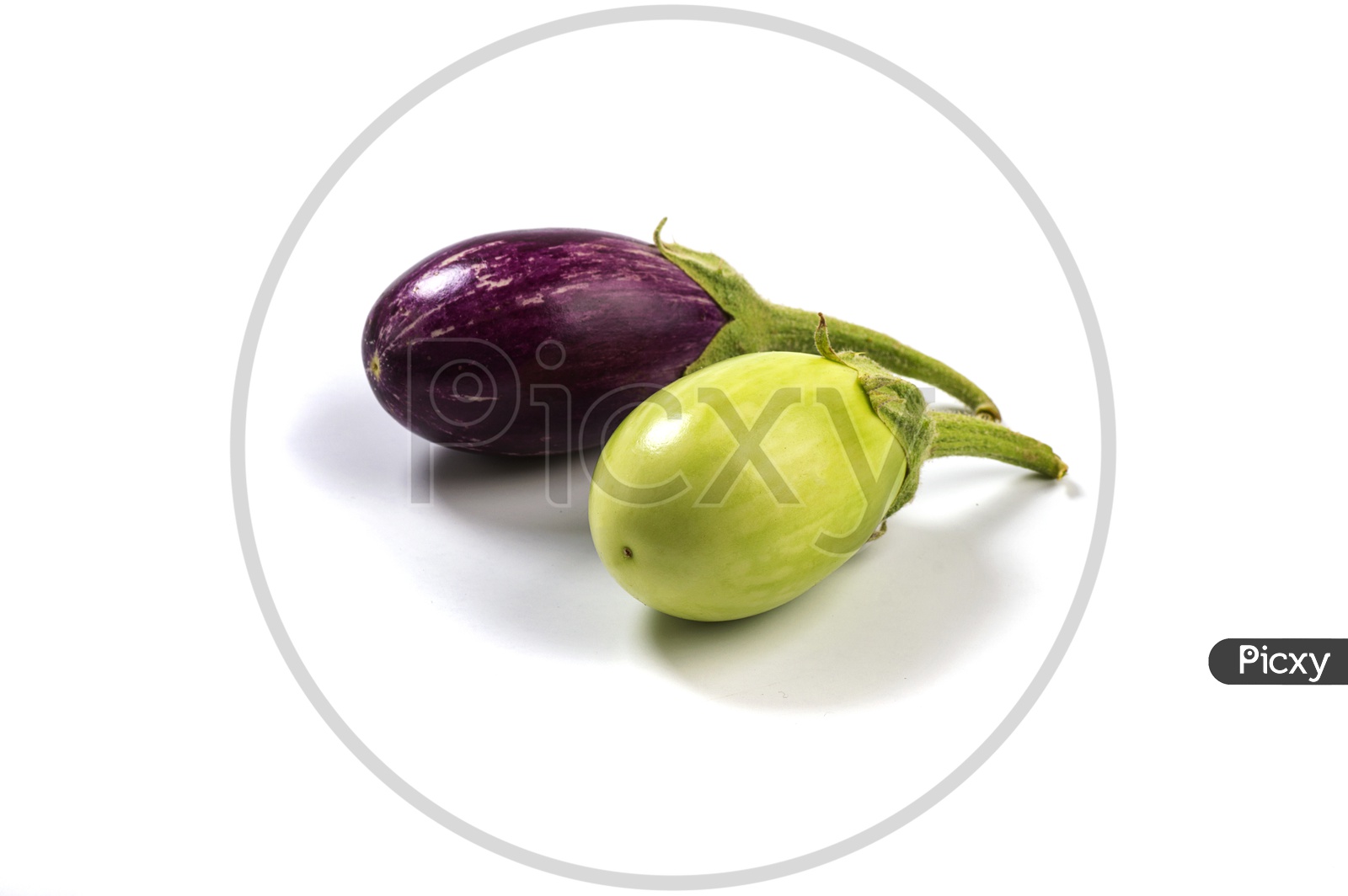Image of Brijal Or Egg Plant Or Baigan On an isolated White Background ...