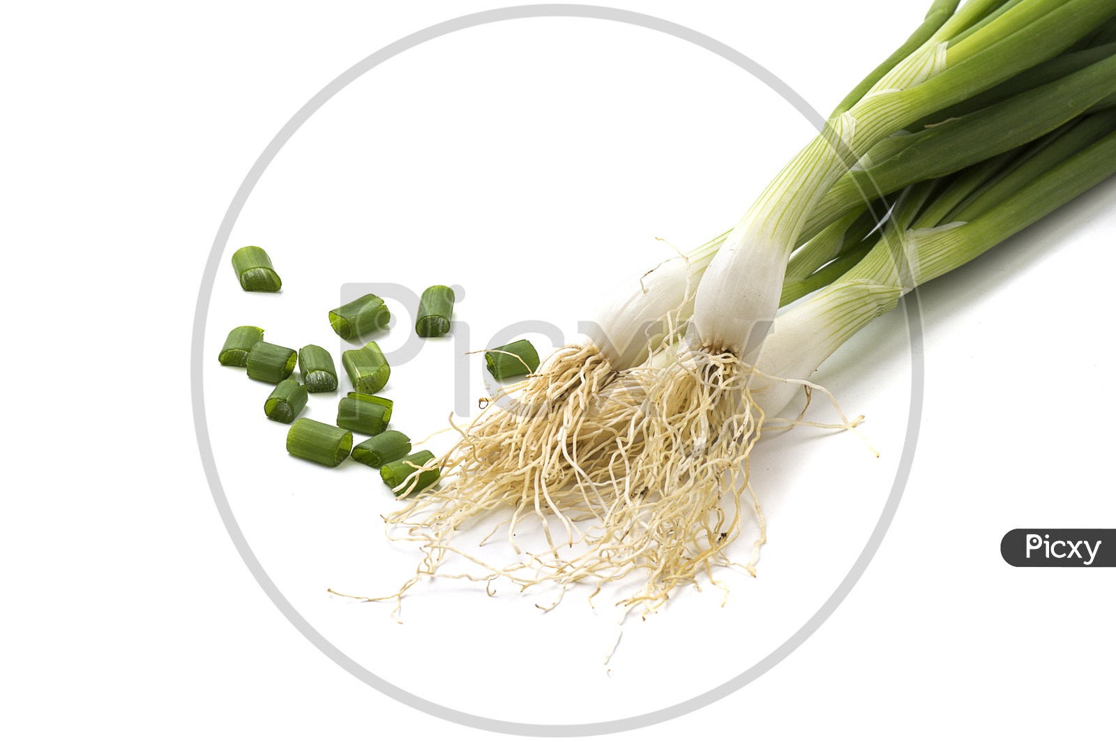 Image of Freshly Chopped Spring Onion Pieces On an Isolated White ...