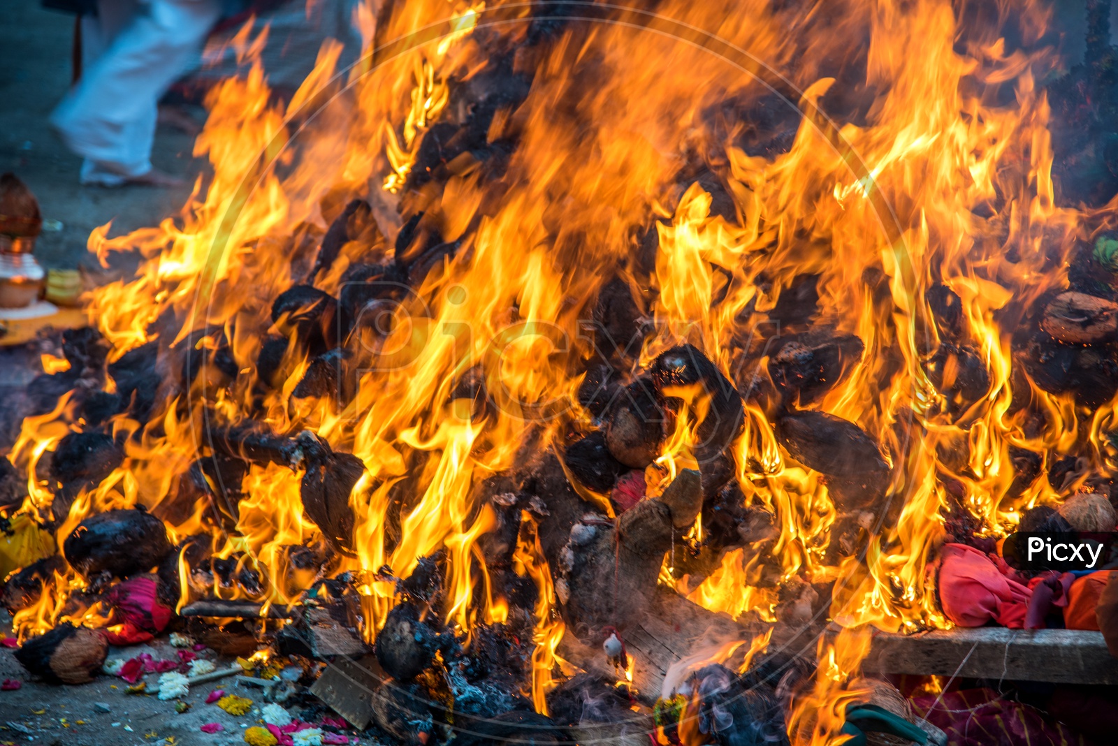Image of Indian People Celebrating Holika Dahan a Worship By Firing ...