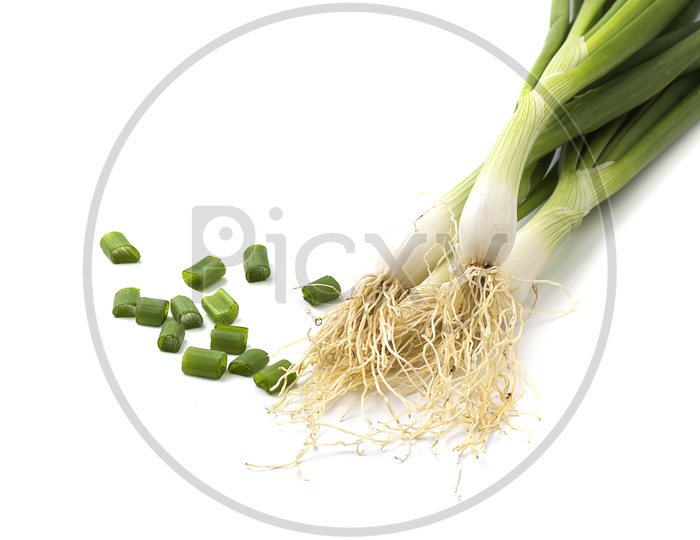 Image of Freshly Chopped Spring Onion Pieces On an Isolated White ...