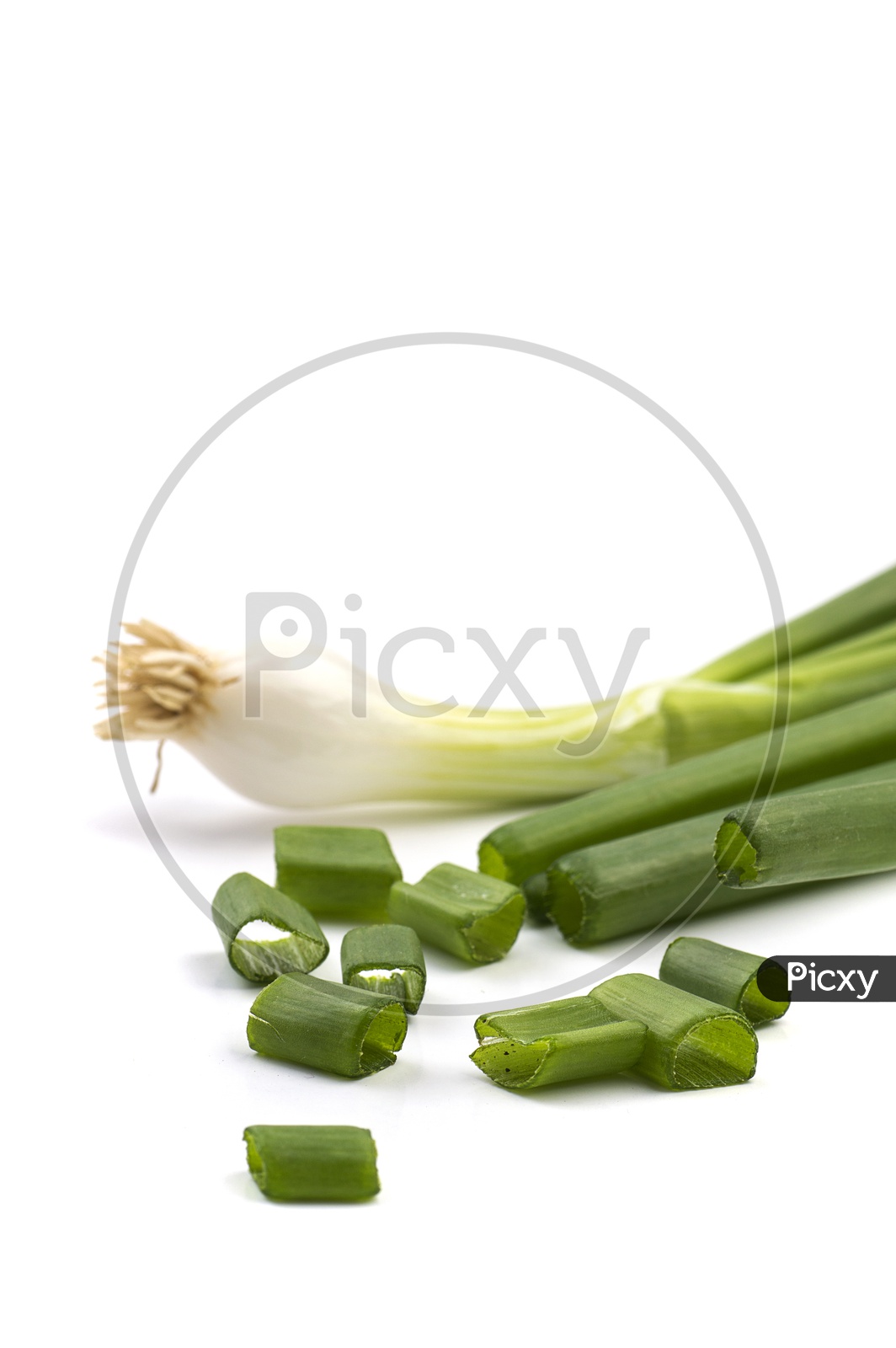 Image of Freshly Chopped Spring Onion Pieces On an Isolated White ...