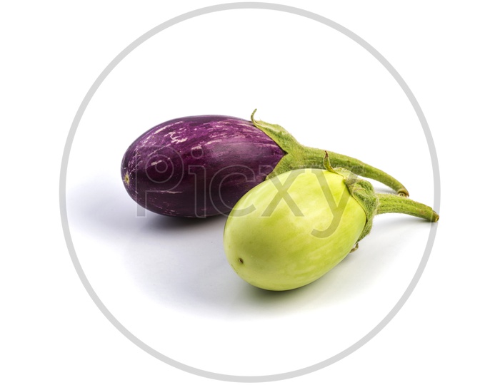 Image of Brijal Or Egg Plant Or Baigan On an isolated White Background ...