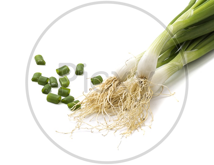 Image of Freshly Chopped Spring Onion Pieces On an Isolated White ...