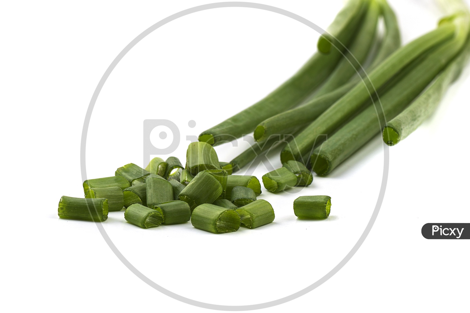Image of Freshly Chopped Spring Onion Pieces On an Isolated White ...