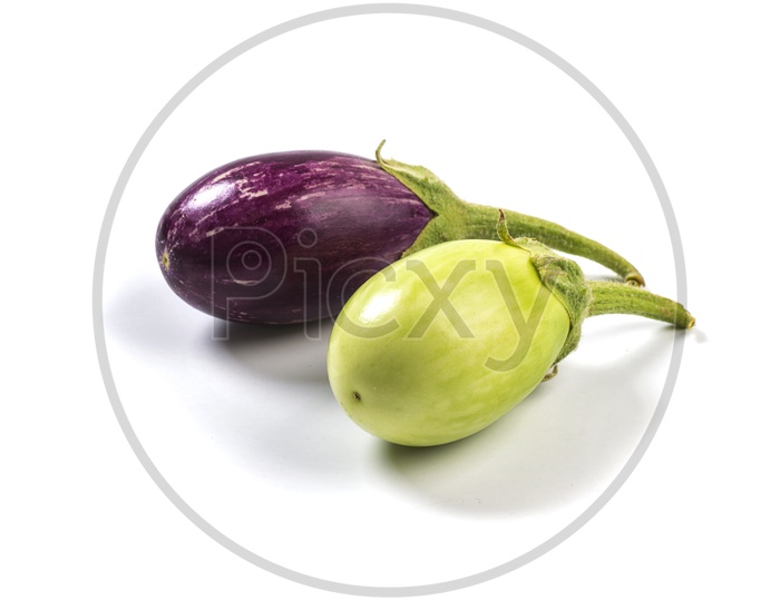 Image of Brijal Or Egg Plant Or Baigan On an isolated White Background ...
