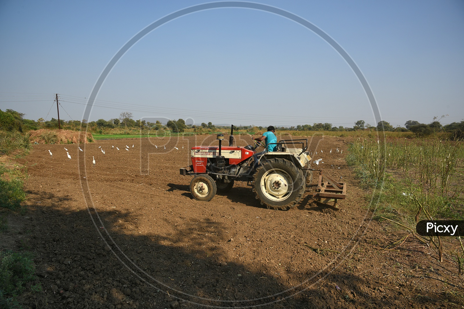 Image of An Indian Farmer Ploughing The Agricultural Field With Tractor ...