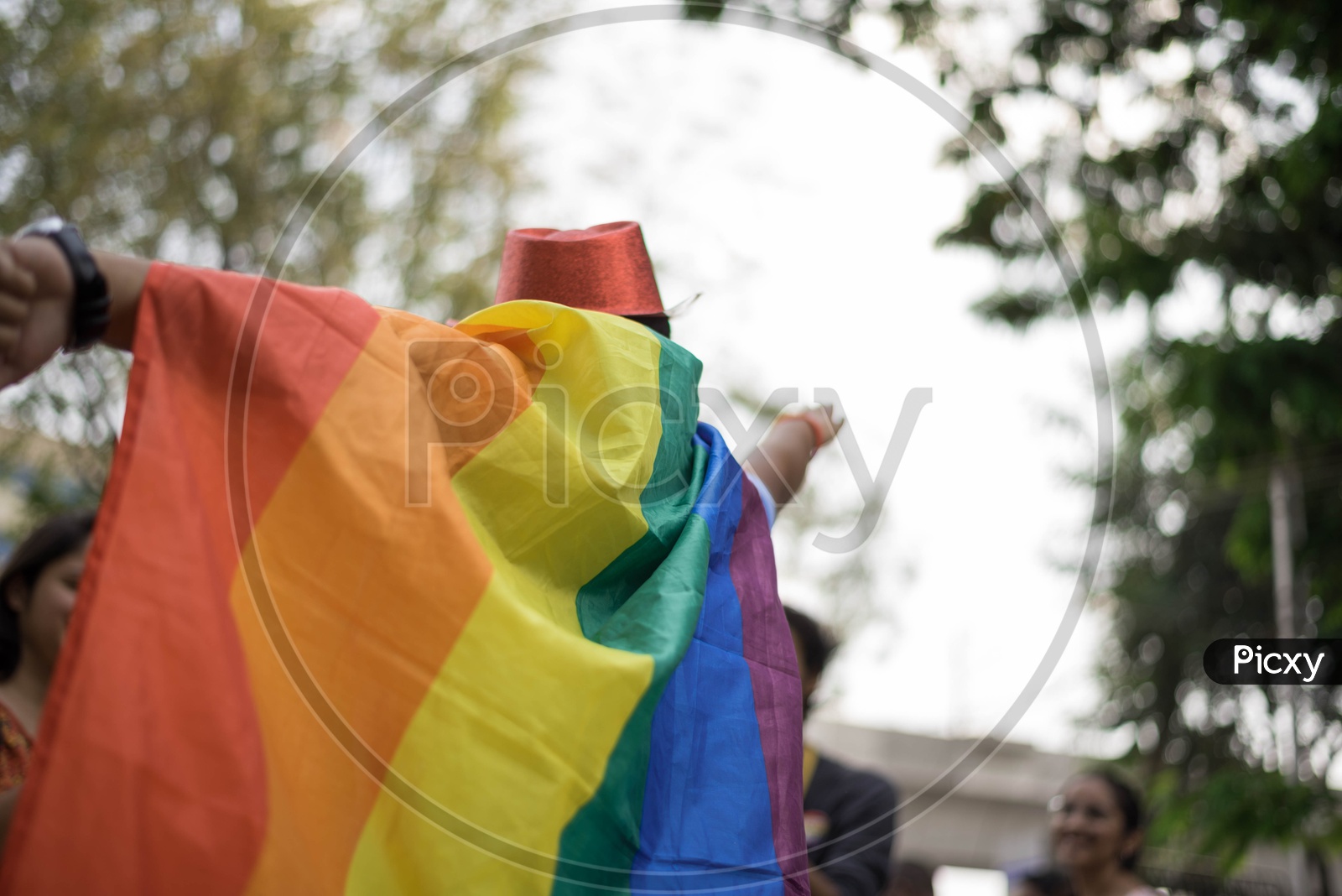 Image of LGBTQ Pride Walk-FA411266-Picxy