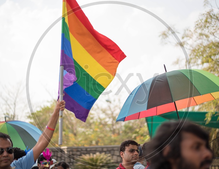 Image of LGBTQ Pride Walk-FA411266-Picxy