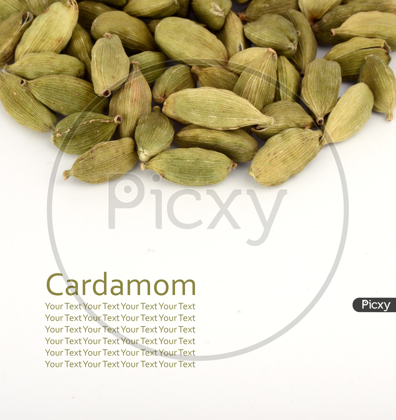 Image of Cardamom pods on white background-LA381890-Picxy