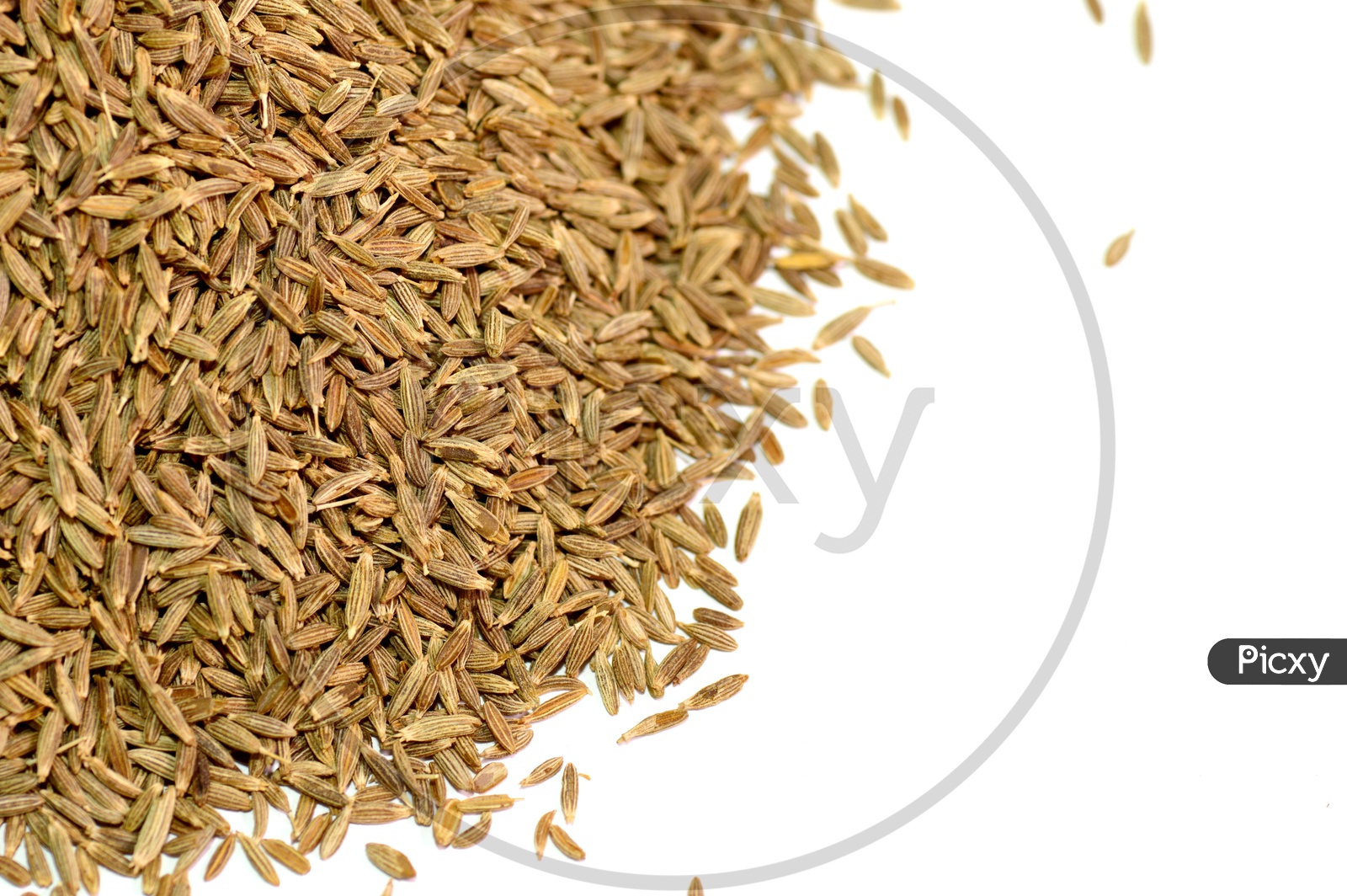 Image of Cumin Seeds or Jeera On an Isolated White Background-PC549490 ...