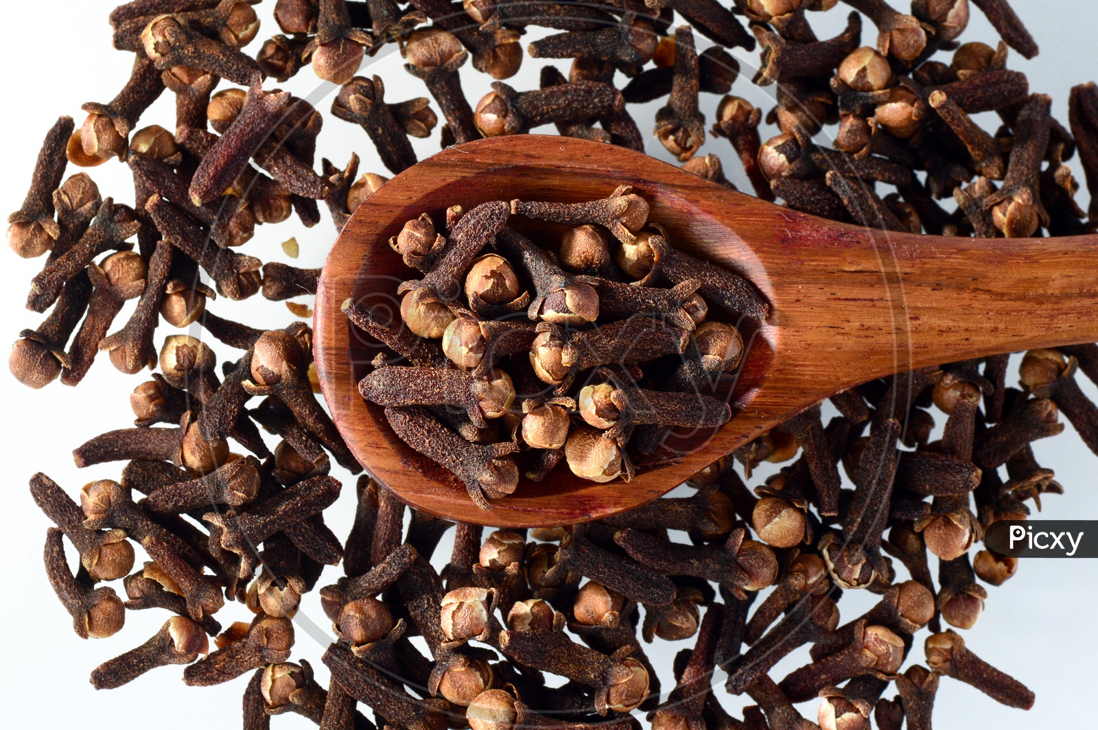 Image of Cloves Or Indian Spice Cloves Composition Shot With Wooden ...