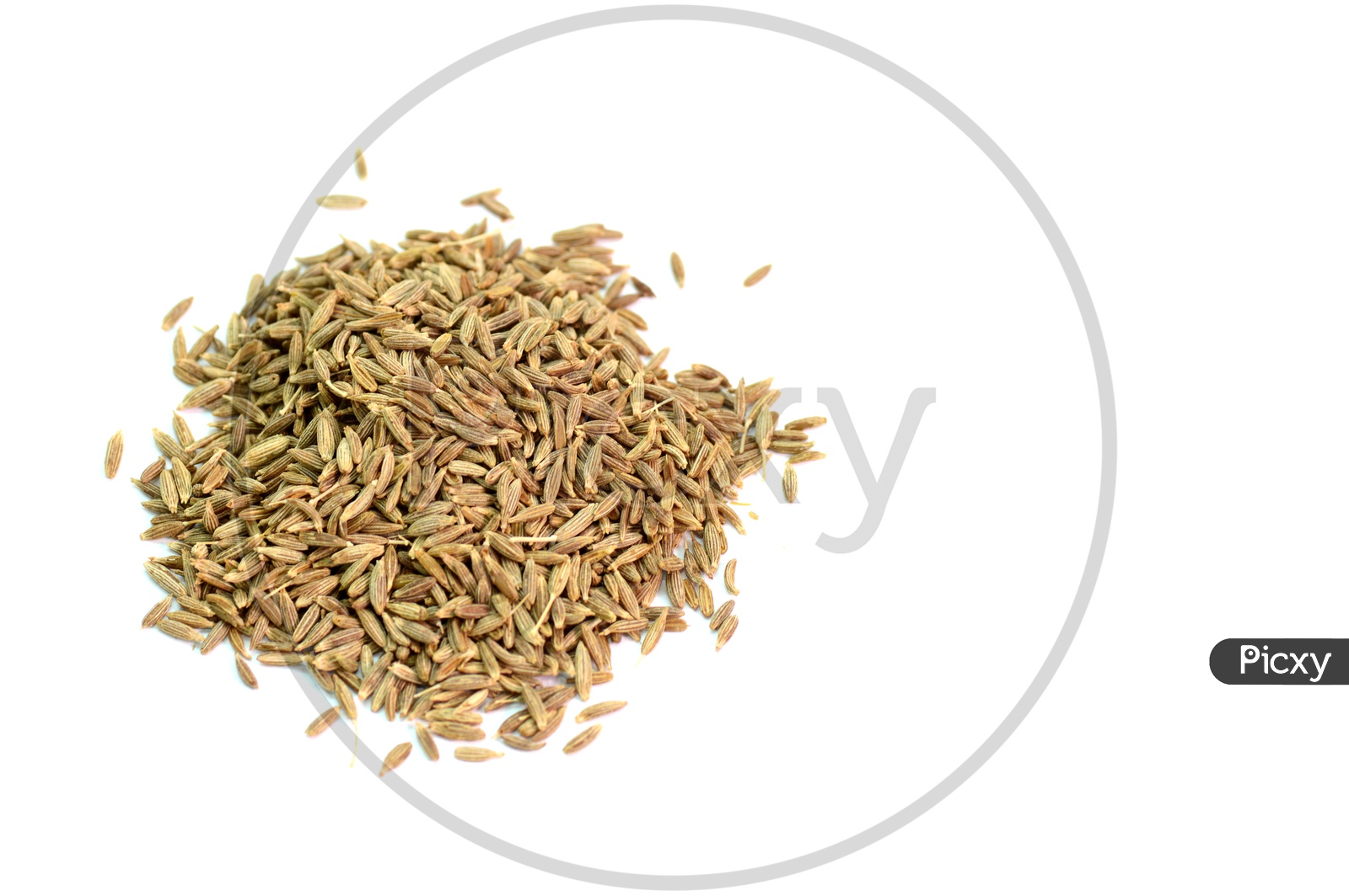 Image of Cumin Seeds or Jeera On an Isolated White Background-TI648503 ...