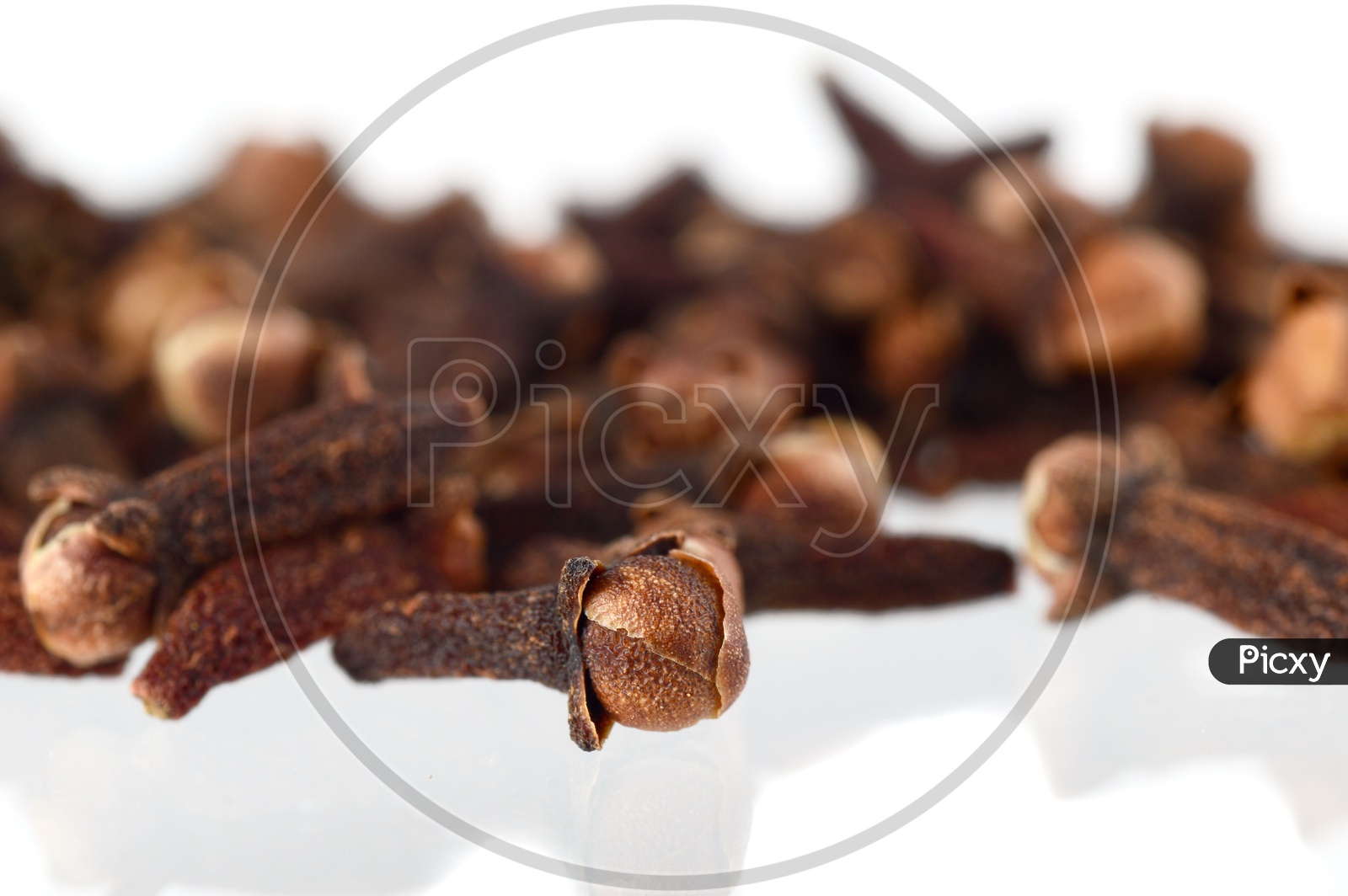 Image of Indian Cloves Or Indian Spices Cloves Pile On an Isolated ...
